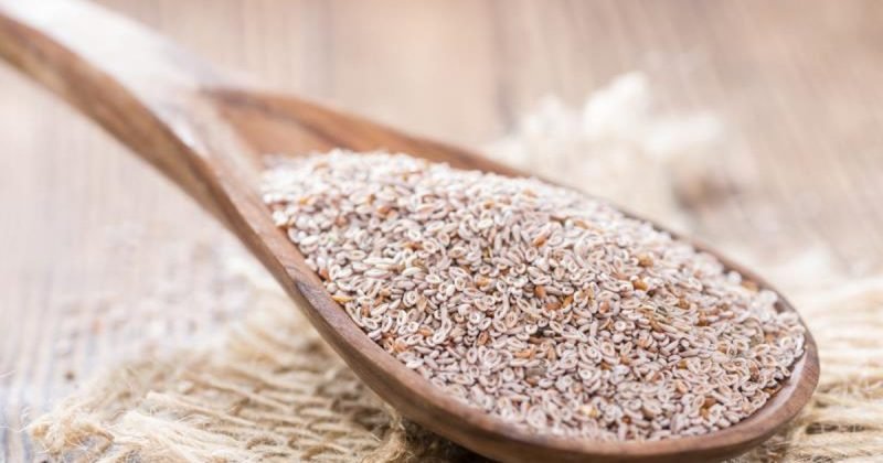 🍀♻️ Psyllium - Psyllium semillas como tomarlo (Ispagula)